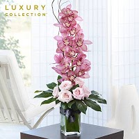 Ann Baff Flowers in Falkirk FK1 1RQ